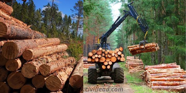Difference Between Wood And Timber | What is Lumber? - Civil Lead Difference Between Wood And Timber | What is Lumber? - Civil Lead